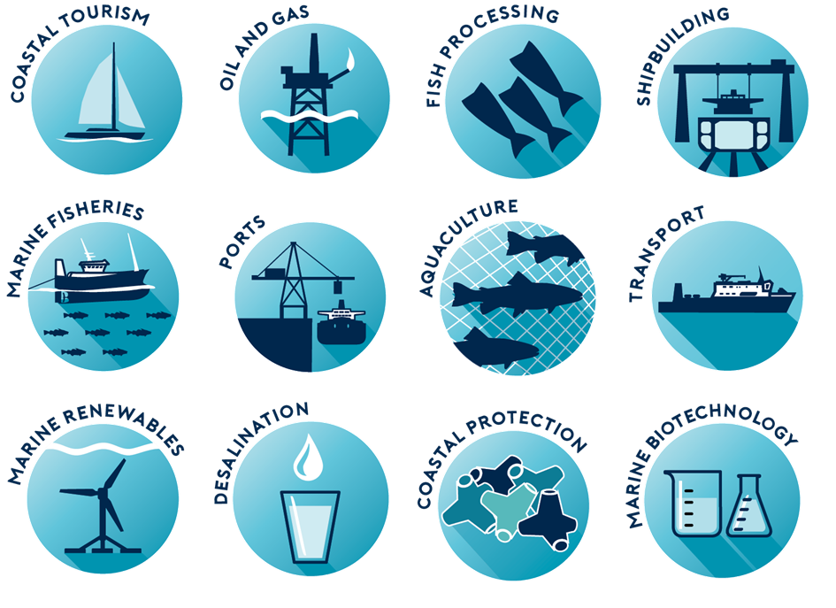 Blue Economy Cluster Builder Programme Launched in Scotland | Aquatera